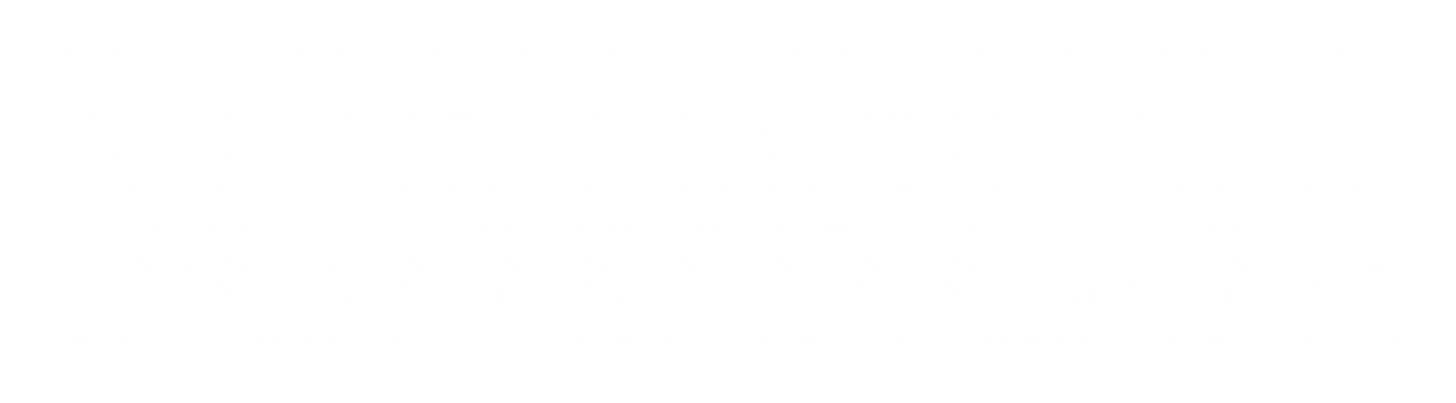 Double Down Saloon - Scoundrel's Field Guide